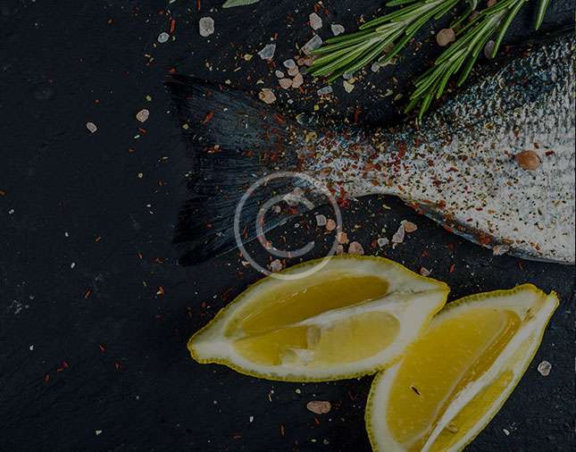 Fish Food – Seafood Restaurant